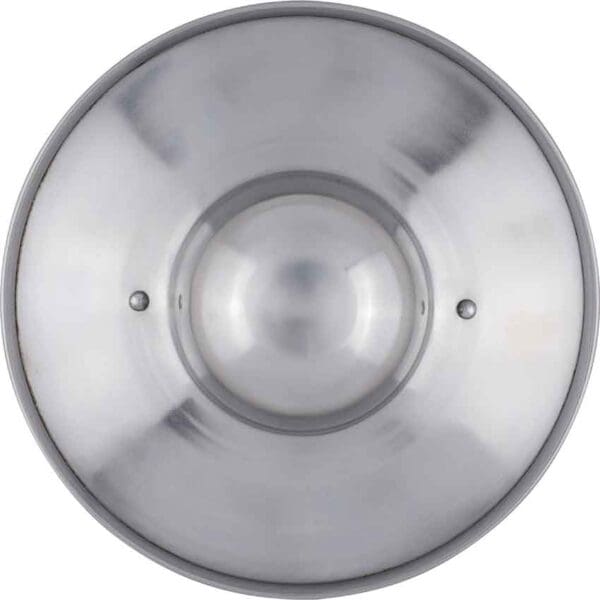 Natural Finish Steel Buckler - Large - HW-701112 - Medieval Collectibles