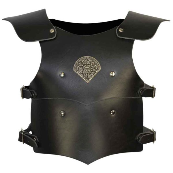 Fighter Leather Armour - Brown