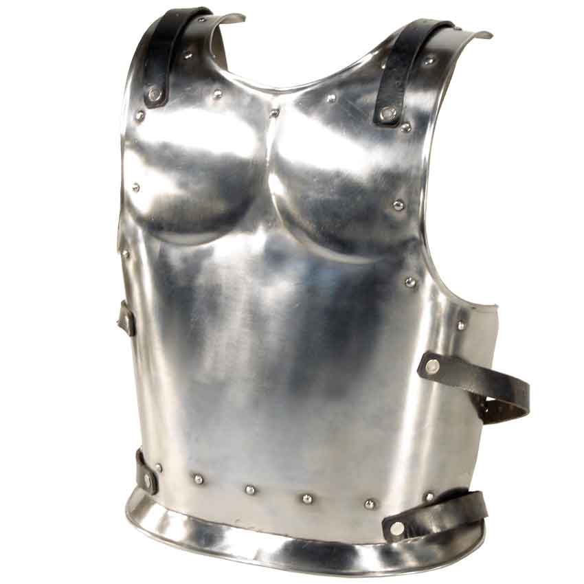 Backplate for Warrior or Drake- Size Small - MCI-2521-S - Medieval ...