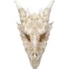 Elegant Dragon Skull Statue - SC9227 - Medieval Collectibles