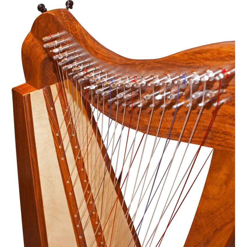 38 String Cross-Strung Caitlin Harp