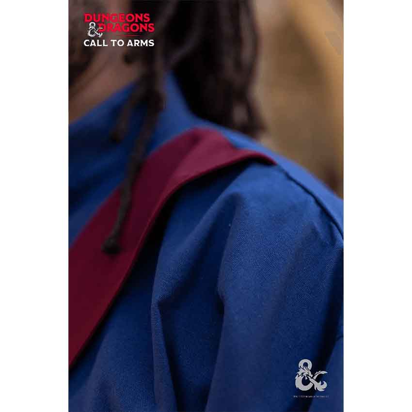 Dungeons & Dragons Wizard Robe